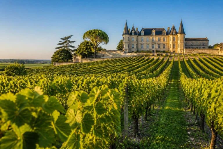 Circuits touristiques dans les vignobles bordelais